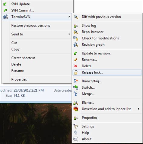 Tortoisesvn SVN File Locked By Me Now Cannot Commit It Stack Overflow