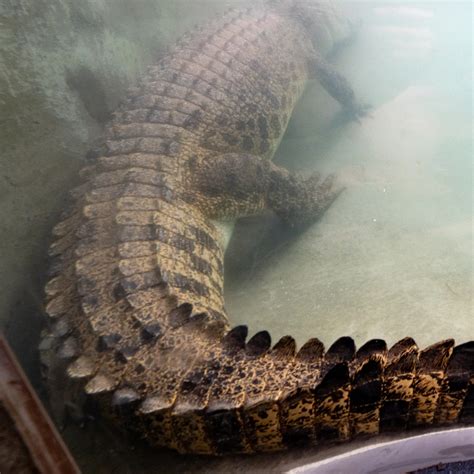 Mark Luyt Markluyt • Instagram Photos And Videos