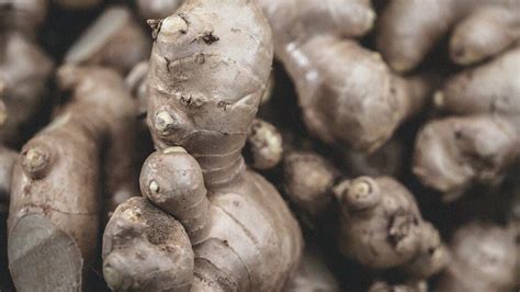 Could Ginger Ease Lupus Symptoms