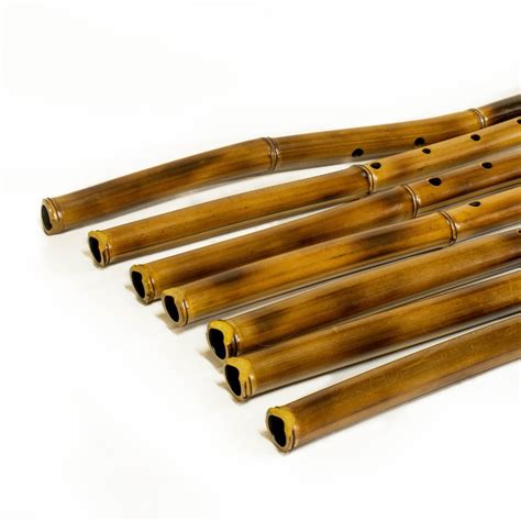 Instrumentos De Viento De Madera Flauta Flauta Travesera Yamaha