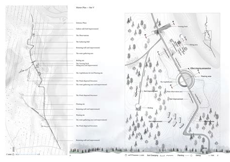 Rewilding A Mining Area