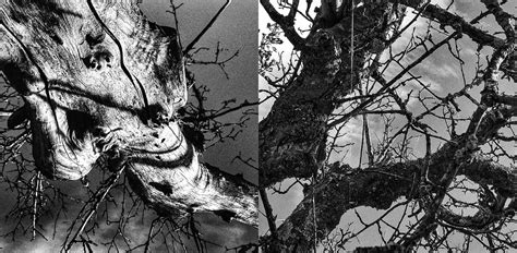 Deadflow By Ruimanuelr On Deviantart