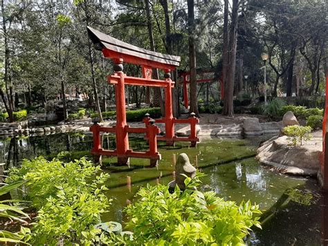 Journal Descubra A Los Nikkei