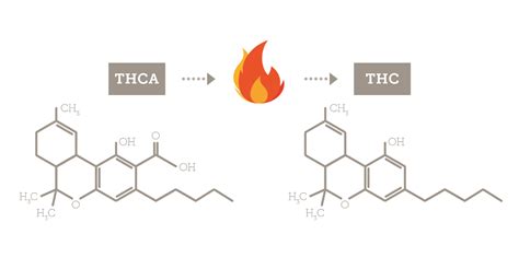 What Is Thca