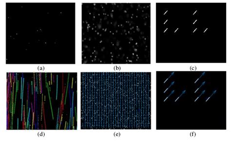 sample images and processed results for ptv piv and psv download