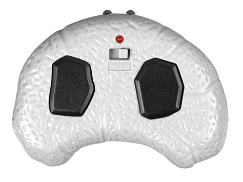 Daljinsko Vodena Tarantela Trgovina Eigrač Btc Ljubljana