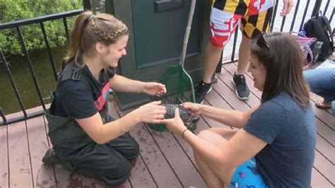 Ccu Students Tracking Turtles For Science