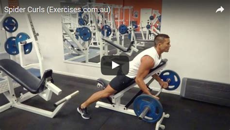 Spider Curls Quick 119 Min Step By Step Exercise Video