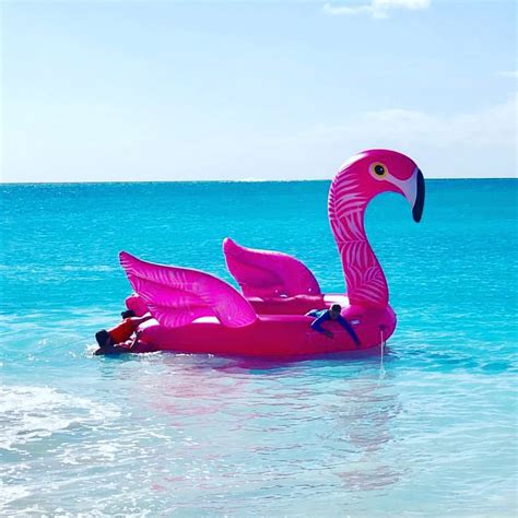 Pink Flamingo Party Float Sun Sand And Sea