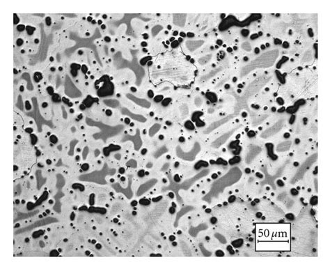 Microstructure Of Cu 5sn 5pb Alloy Solidified At A Cooling Rate Of 016