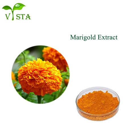 100 Natural Factory Supply Marigold Flower Extract Lutein Zeaxanthin Marigold Extract Powder