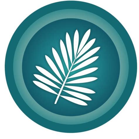 Khan Academy Badges Black Hole Tech Innovator Academy