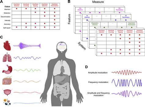 A Cardiac Interoceptive Processing Measures And Feature Loading This