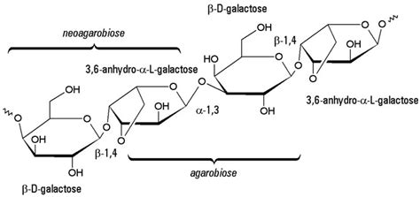Bacteriological Agar Properties And Uses • Microbe Online