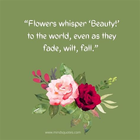 55 Best Flower Quotes For Love And Life And Peace