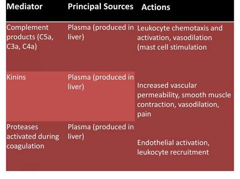 Acute Inflammation Powerpoint Slides Learnpick India