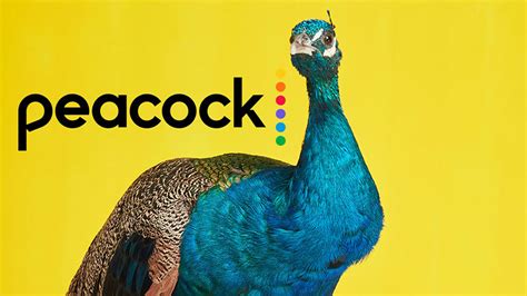 Peacock Streaming