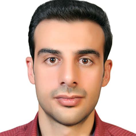 Farzad Heydaridehkordi Data Analyst Hopp Marktforschung Xing