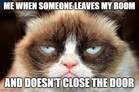 Grumpy Cat Birthday Memes And S Imgflip
