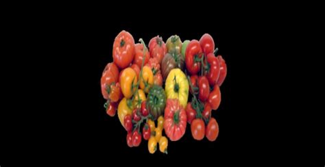 Second Life Marketplace Fruit Veg Tomatoes Full Perms Alpha Texture