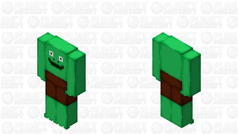 Mr Frog Minecraft Skin