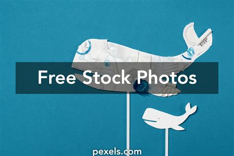 Pollution Types Collage Photos Download The Best Free Pollution Types