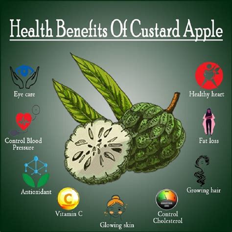 Sugar Apple Sweetsop Fruit Custard Apple Tree Varieties Health