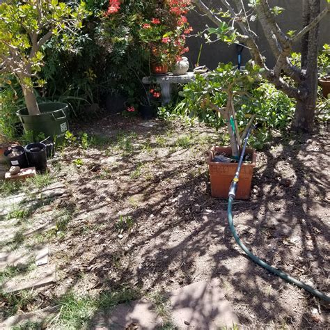 Human Underdeveloped Therese Marie Duncan Author