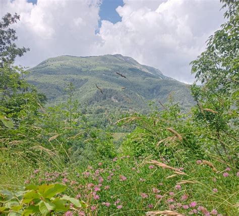 Il Ventasso Foto Di Pia Bertucci Redacon