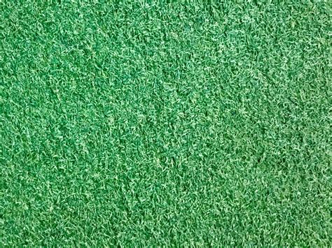 Meadow Blades Of Grass Textured Outdoors Halme Beauty In Nature