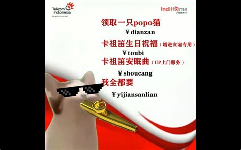 【卡祖笛andpopo猫】我家猫听完这个连夜扛着路由器跑了【印尼宽带】哔哩哔哩bilibili