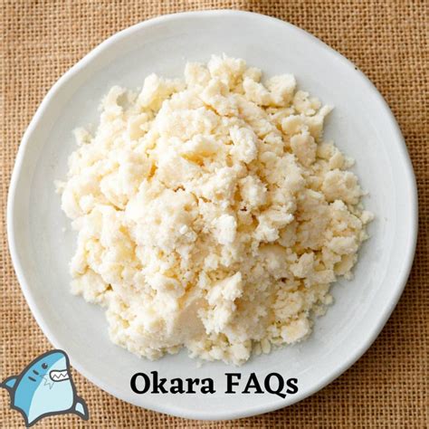 9 Okara Faqs All Day I Eat Like A Shark