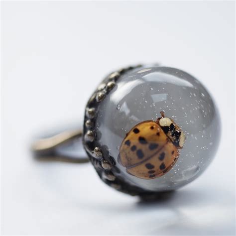 Taxidermy Jewelry Etsy Uk