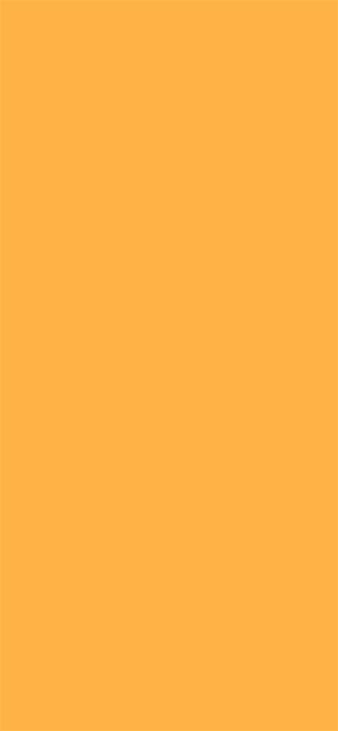 Pastel Orange Solid Color Background By Anoneth