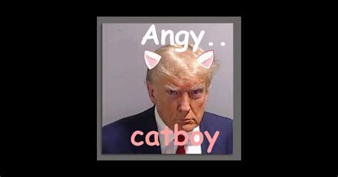 Trump Mug Shot Meme Funny Tiktok Viral Catboy Cringe Tiktok Sticker
