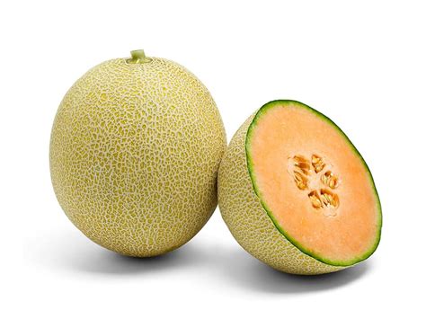 Melón Cantalupe Harper Catálogo De Proveedores