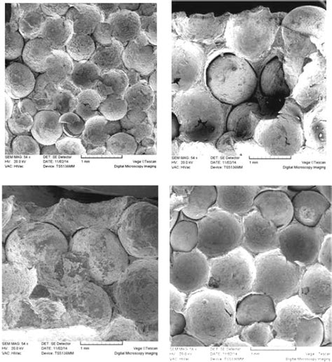 Sem Fracture Surface Of The Impact Composite Samples With Different