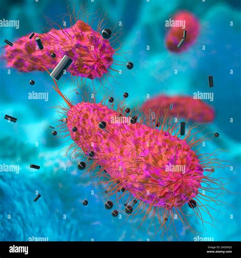 E Coli Bacterium And Nanoparticles Illustration Of Metal