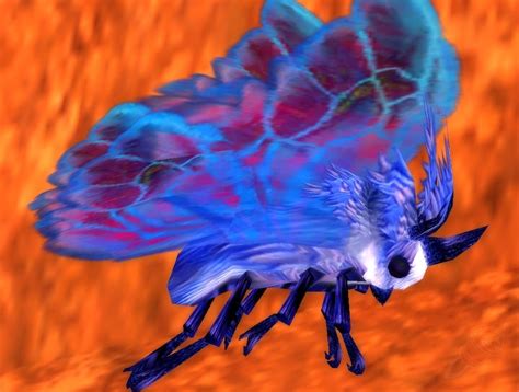 Blue Moth Npc Cataclysm Classic