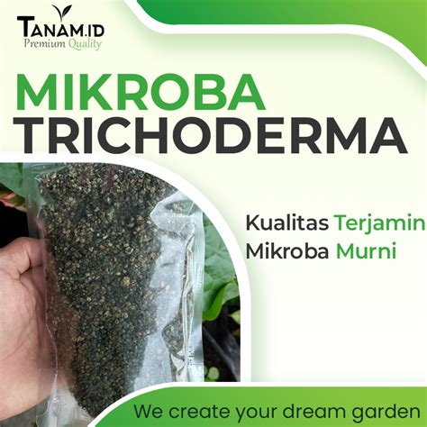 Jual Tricho Murni Mikroba Trichoderma Padat Pengendali Penyakit
