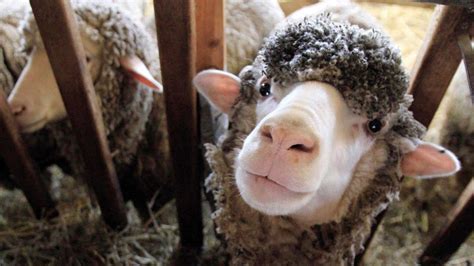 How A World Class Athlete Became A Master Distiller