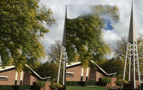 Background Schoolcraft Connection