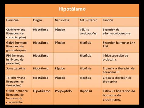 Portafolio De Evidencias De La Materia De Fisiología Humana Hormonas