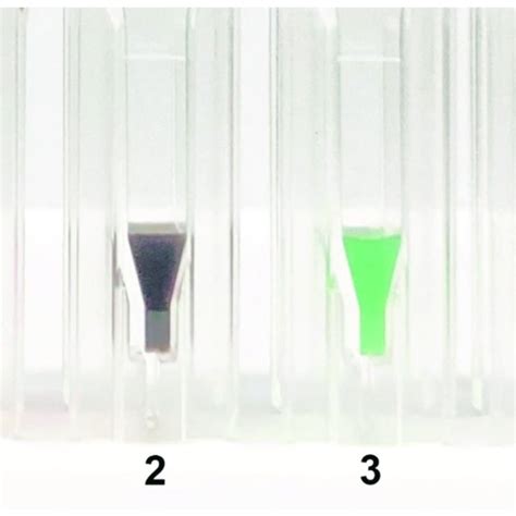 Comparison Of Test Strips Based On Different Nitrocellulose Membranes