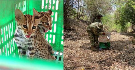 ក្រសួងបរិស្ថានថានឹងចាត់វិធានការផ្លូវច្បាប់ចំពោះជនណាដែលប្រព្រឹត្តល្មើសធនធានធម្មជាតិក្នុងការលក់