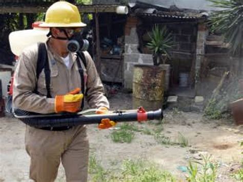 Secretaría De Salud De Oaxaca Acepta Que Usó Insecticida Caducado