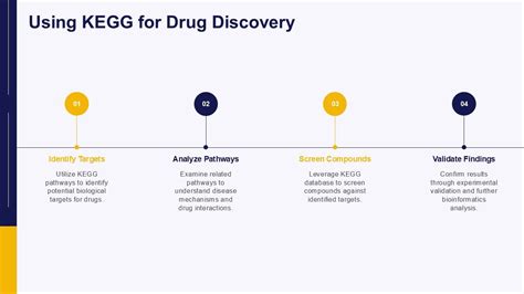 Using Kegg For Drug Discovery Ppt Example St Ai Ss Ppt Slide