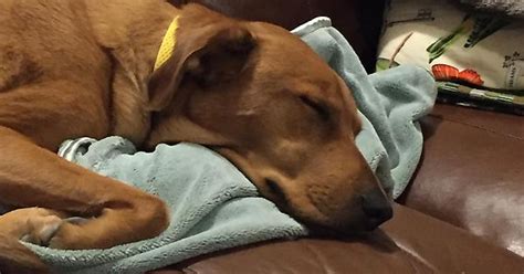 Linus Album On Imgur