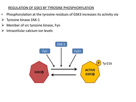 Glycogen Synthase Kinase 3 Betapptx
