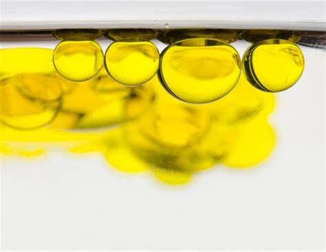 Researchers Report On The Role Of Brain Cell Membranes Lipids In Alzheimers Progression